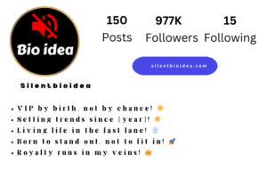 550+ Stylish Bio Ideas for Facebook: VIP Bio for Profile