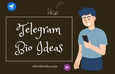 720+ Telegram Bio Ideas, Stylish Text Bio Channel Generator