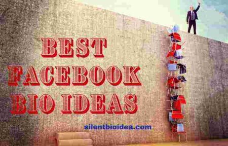 1200+ Best Facebook Bio Ideas : Stylish and Aesthetic Bio