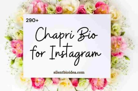 290+ Top Chapri & Non-Chapri Bio for Instagram, Bios for Boys & Girls
