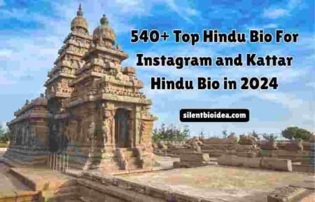 540+ Hindu Bio for Instagram | Kattar Hindu & Sanatan Dharma Bios