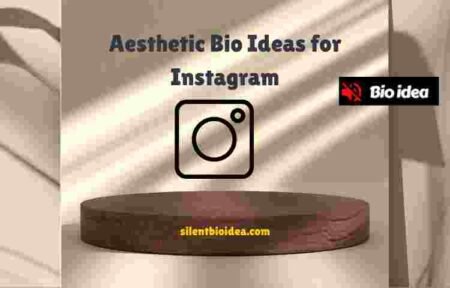 350+ Aesthetic Bio Ideas for Instagram, Aesthetic Quotes, Captions