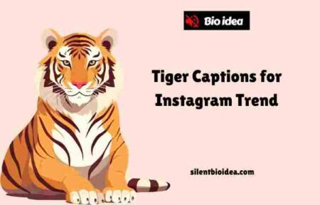 841+ Perfect Tiger Captions for Instagram - Private & Cute IG Ideas