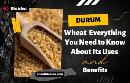 Durum Wheat: Everything You Need to Know About Its Uses and Benefits